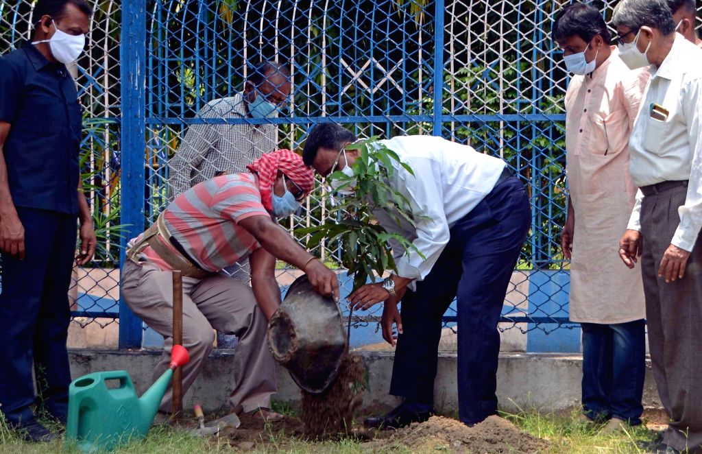Tree plantation during World Environment Day observe in Kolkata