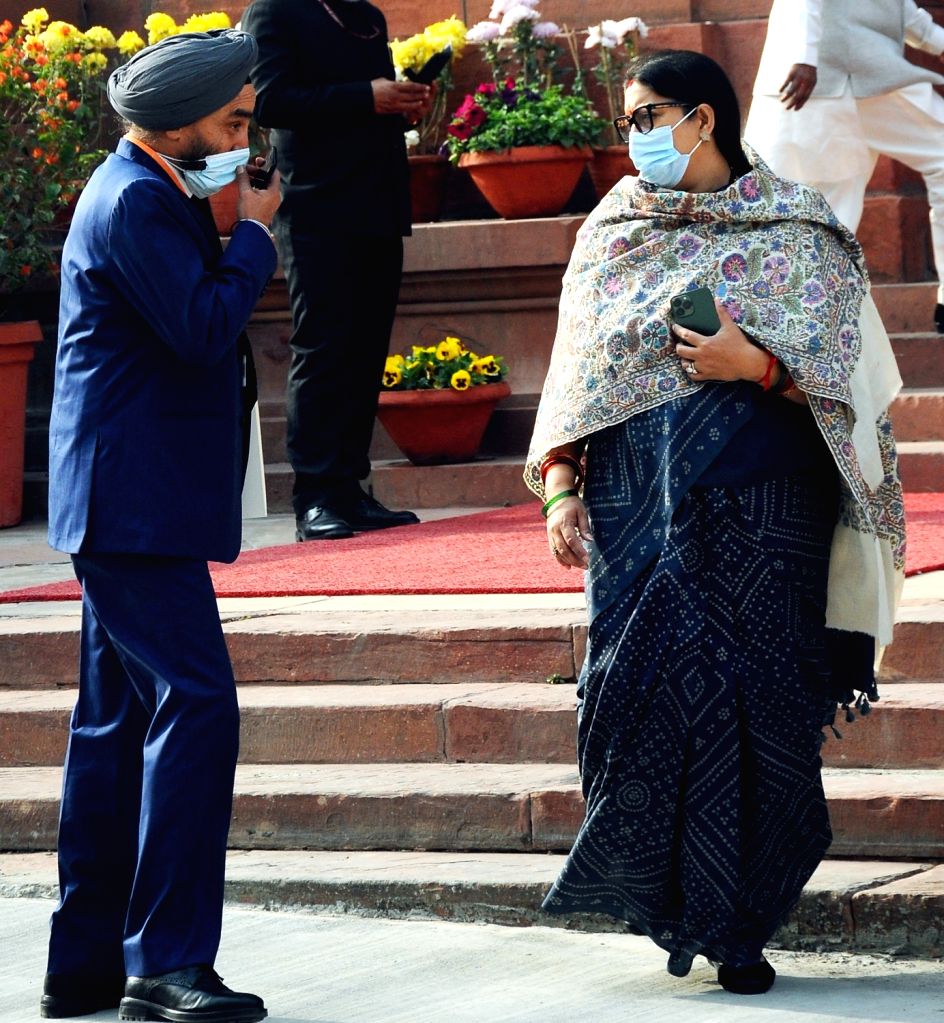 Union Minister Smriti Irani at Parliament