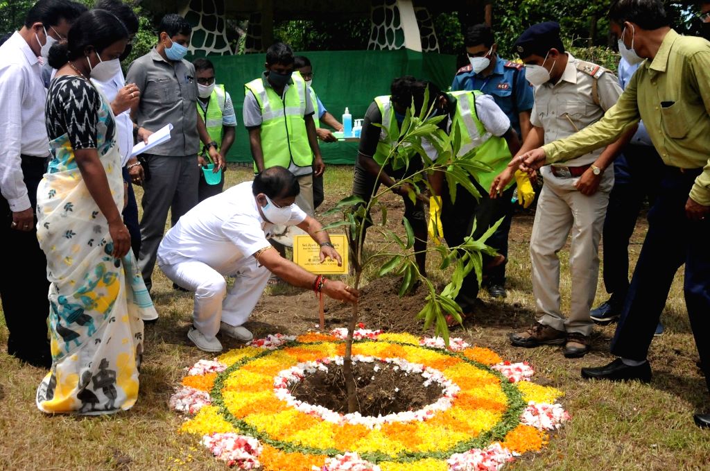 van Mahotsav 2021 organized by Forest Department, Government of West ...