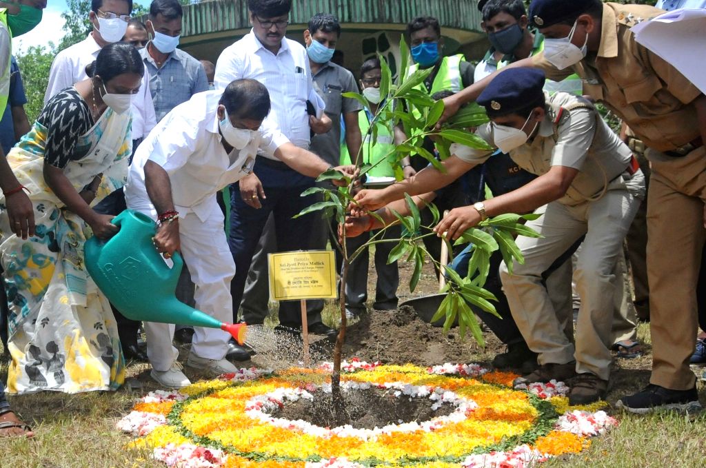 van Mahotsav 2021 organized by Forest Department, Government of West ...