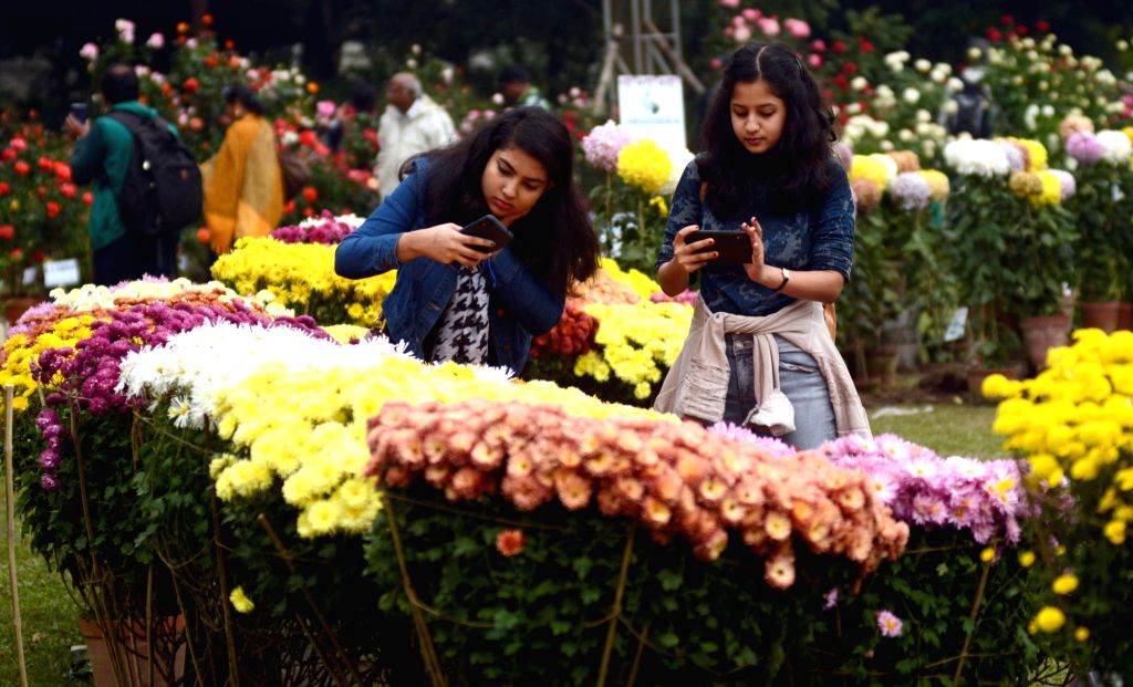 Flower Show 2020