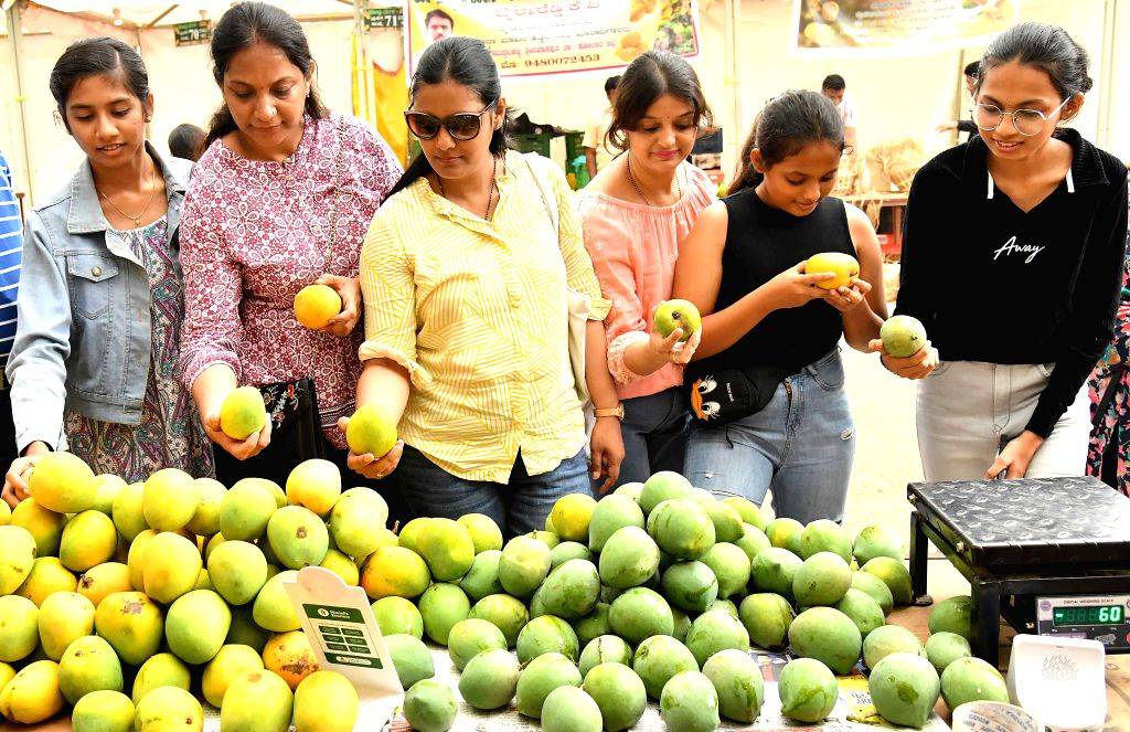 Visitors check mangoes at Mango Mela
