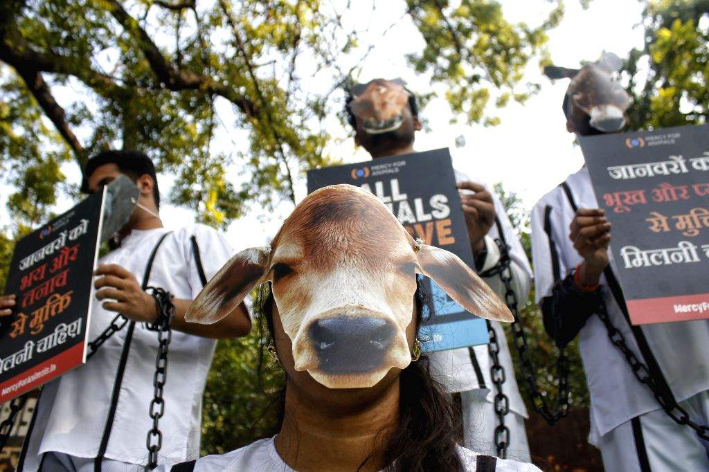 Volunteers of Mercy For Animals India Foundation, handcuffed and ...