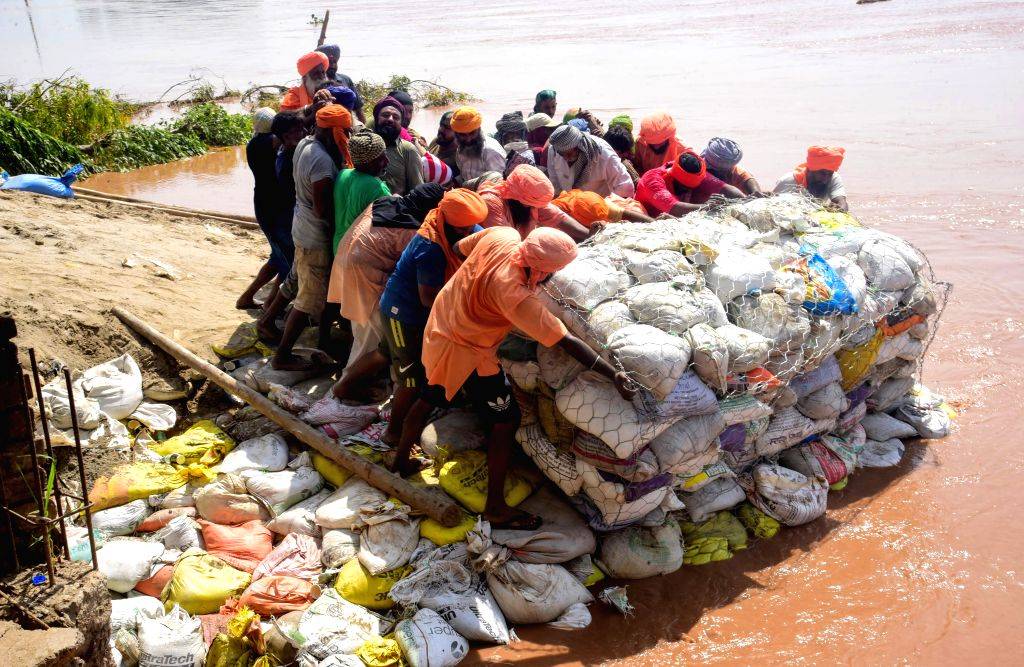 Volunteers Repair Embankment