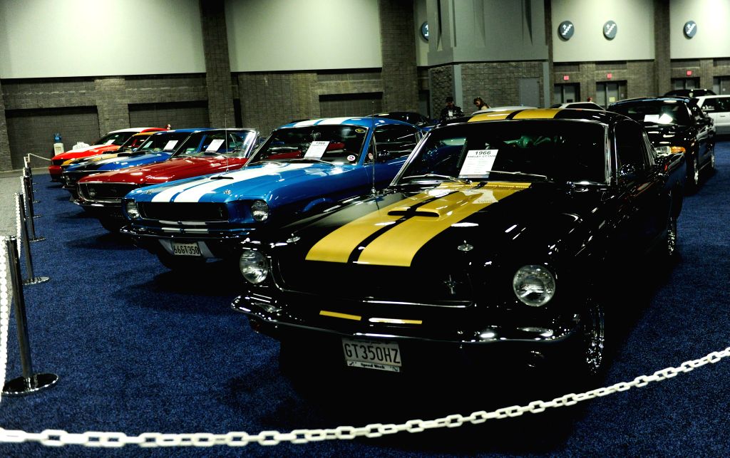 U.S.-WASHINGTON D.C.-AUTO SHOW