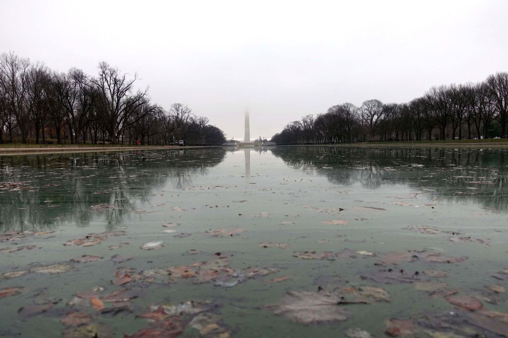 U.S.-WASHINGTON D.C.-FOG