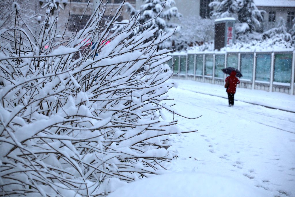 Weihai (China): Snowfall hit the coastal city Weihai