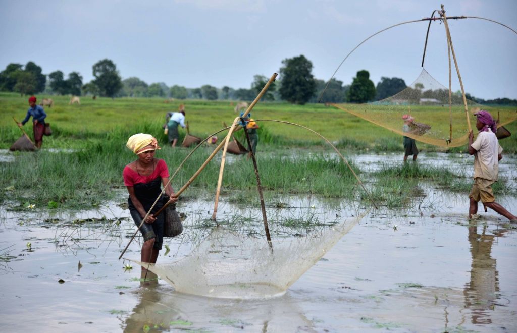 Women from the karbi tribe catch fish in a partially dried-up wetland.
