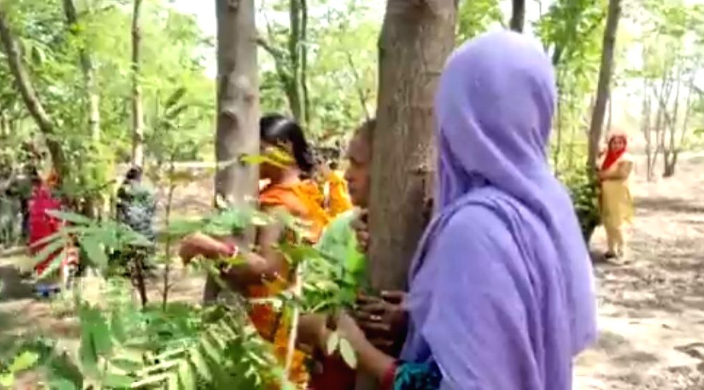 Free photo : Women stuck to save trees from being cut in Dhanbad