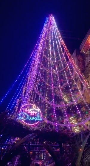 Free Photo: Wow! Now, India's tallest Christmas Tree dazzles even on Diwali