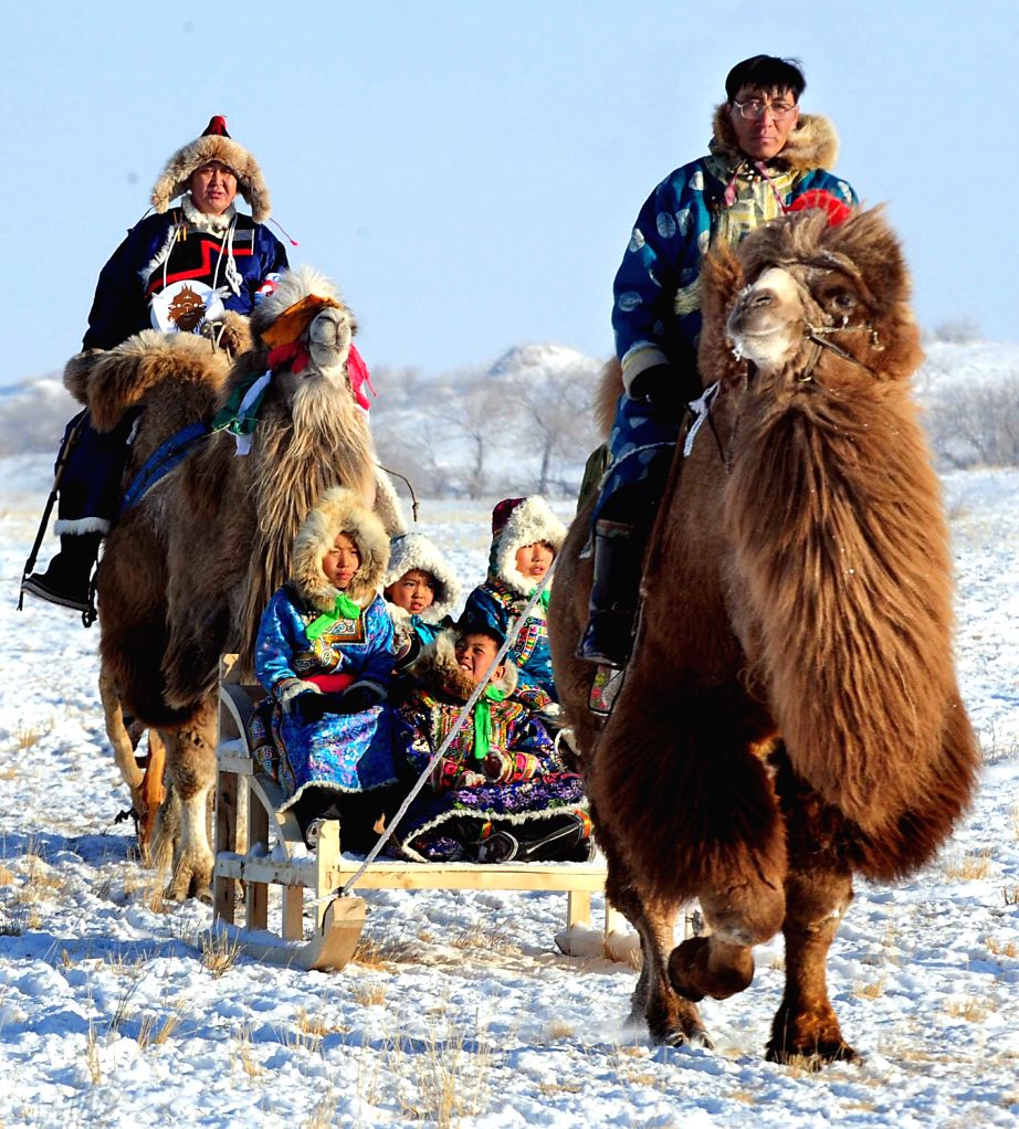 A camel culture festival