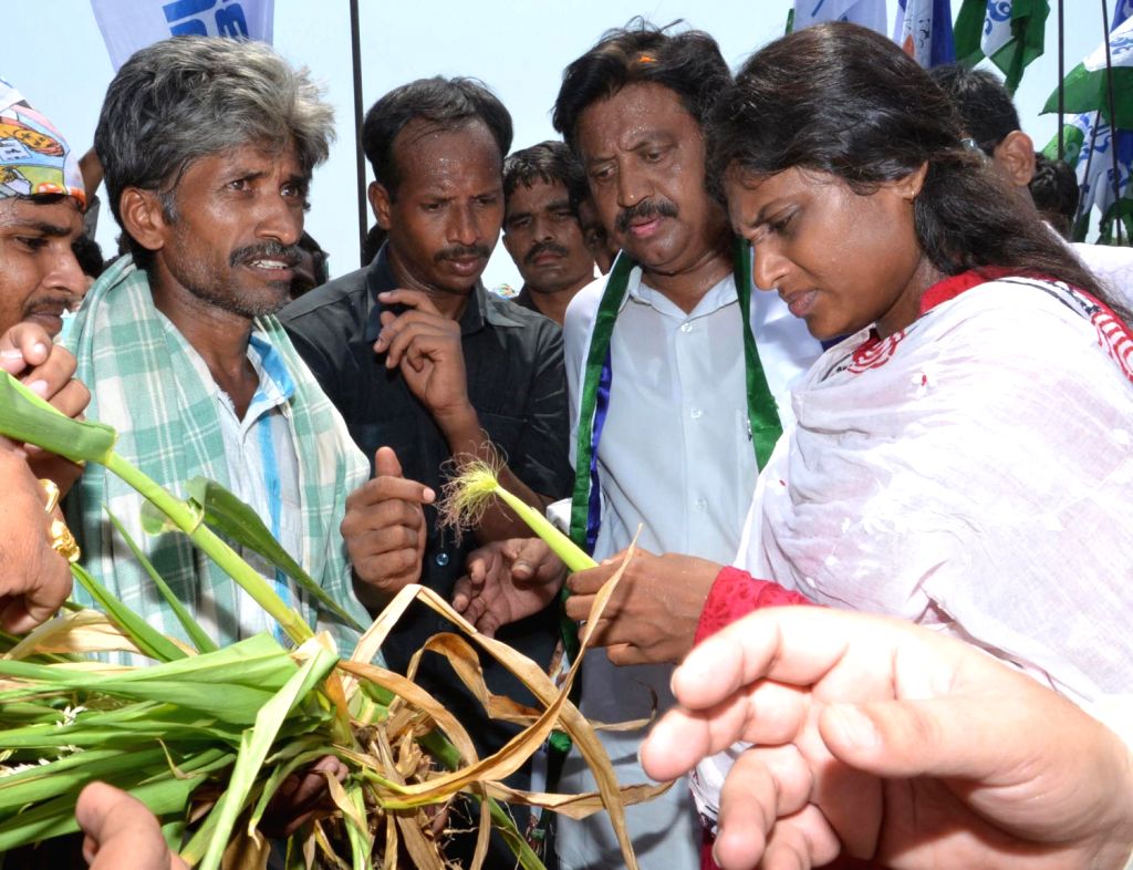 YSR Congress leader Sharmila during a padayatra at Vijayawada