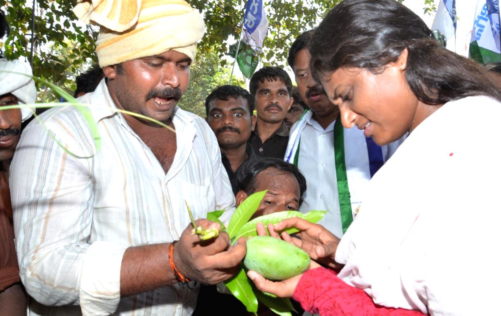 YSR Congress leader Sharmila during a padayatra at Vijayawada