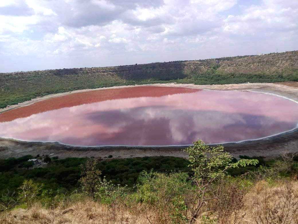 Maha's Lonar Lake dons baby-pink colour, astounds scientists