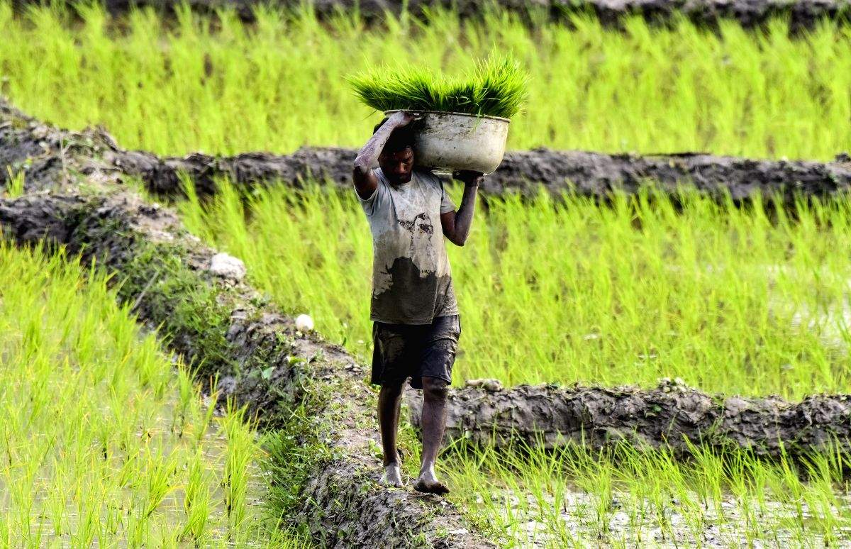 Farmers now get loans through e-KCC in just 5 minutes: CM Yogi