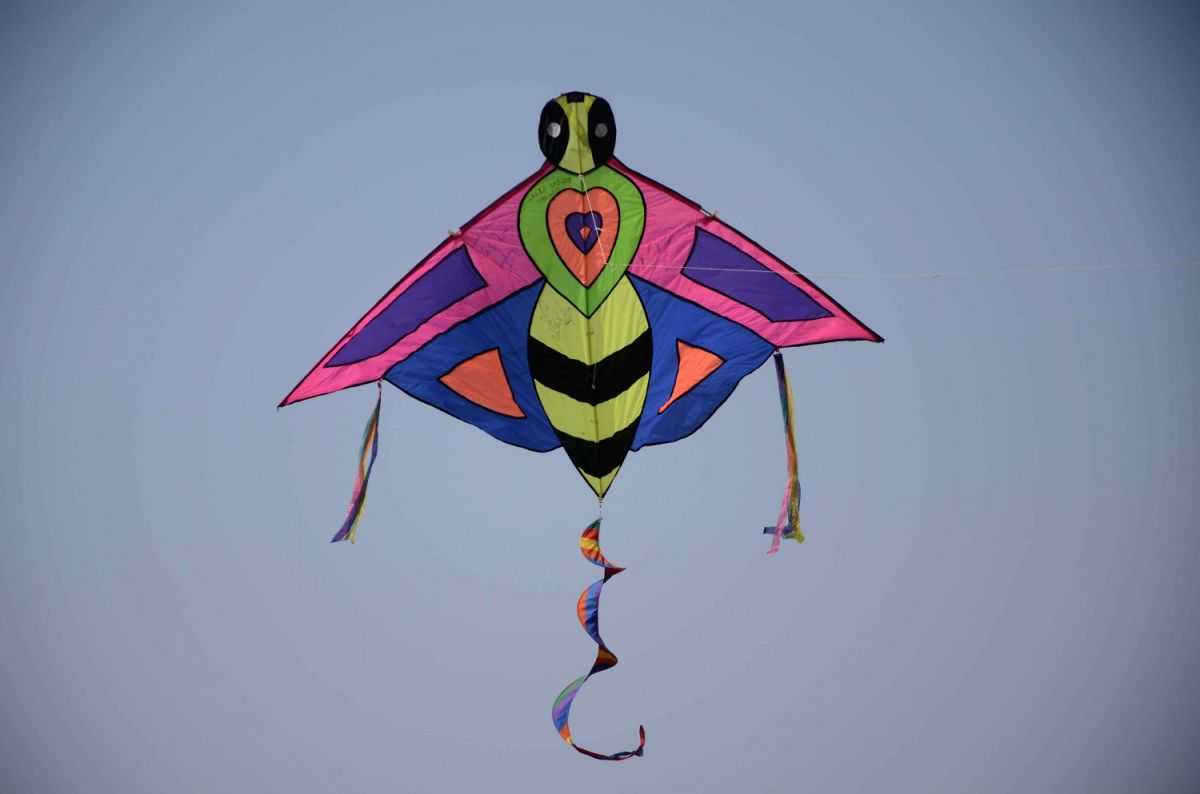 Makar Sankranti 2020: Decoding the Importance & Joy of Kite Flying on ...