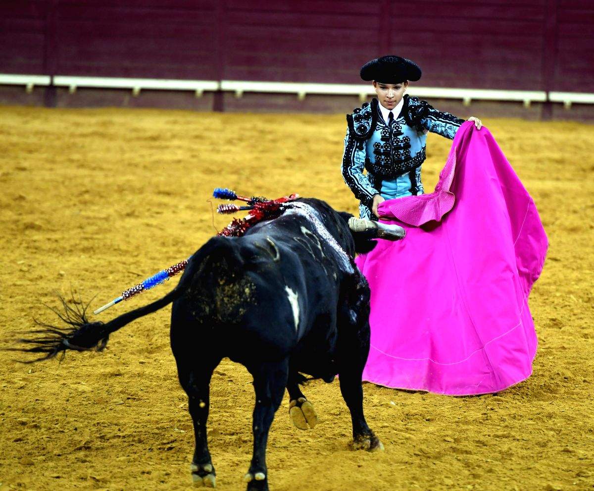 The Art of Bullfighting in Different Countries