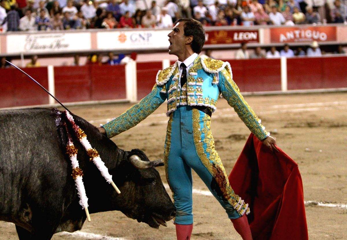 The Art of Bullfighting in Different Countries