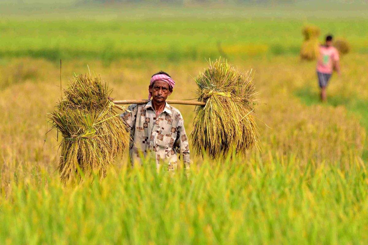 Farmers living in 'hell' under MahaYuti, says Shiv Sena UBT in Saamana