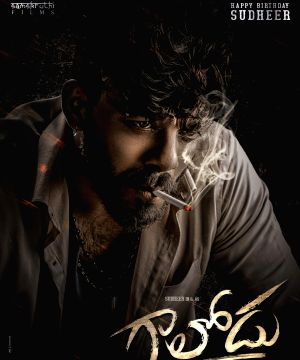 Gaalodu Movie Cast, Review, Wallpapers & Trailer