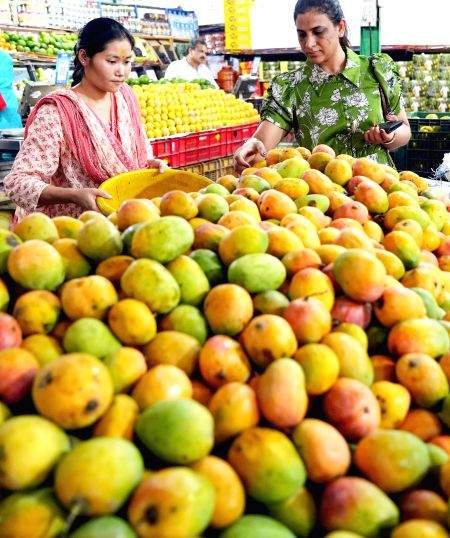 Mango Mela Opens at Hopcoms