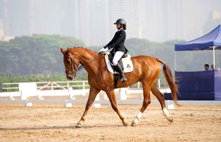 Free photo : National Equestrian Championship gets underway at Amateur ...