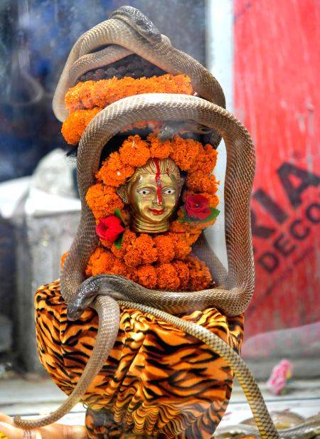 Snakes on the Idol of Lord Shiva on the occasion of Nag Panchami festival