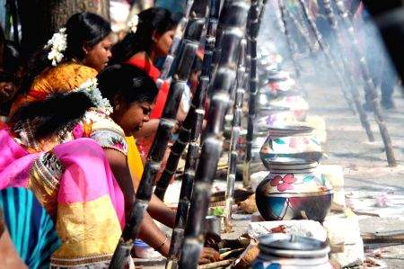 Pongal Photos | Images of Pongal Celebration