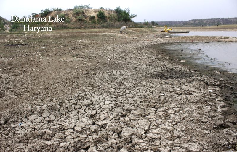 File Photos: Damdama Lake