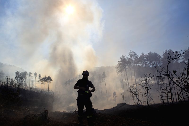 Bolivia declares national emergency over forest fires