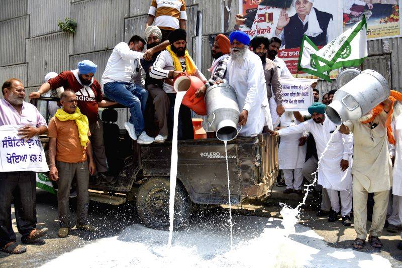 Dairy Farmers Protest in Amritsar