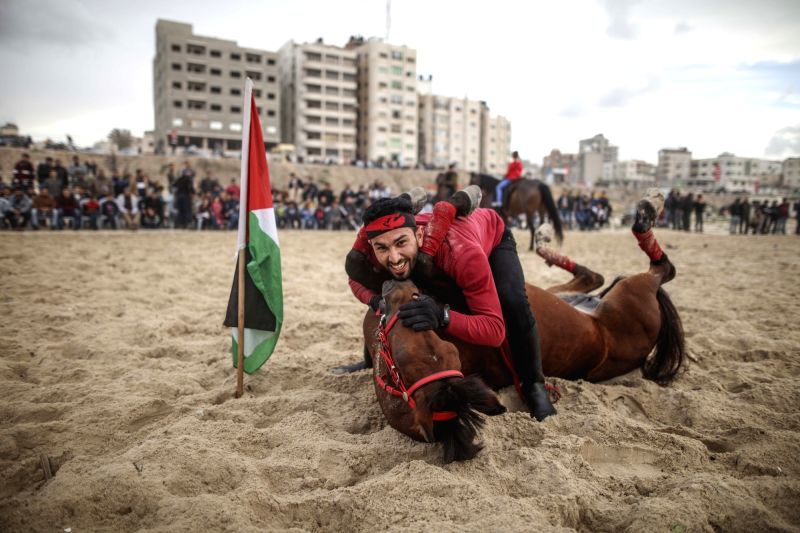 MIDEAST-GAZA CITY-BREEDERS-SHOW