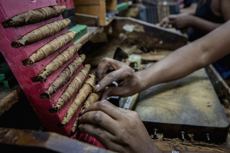 CUBA-HAVANA-INDUSTRY-TOBACCO