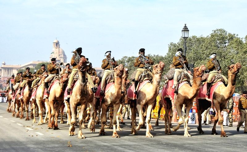 Indian military camel-mounted band during a rehearsal