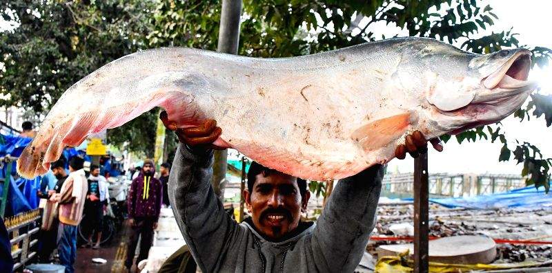 Magh Bihu Eve Fish Market
