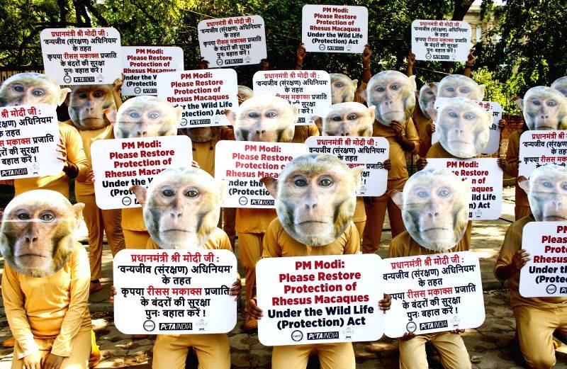 Members of PETA India stage a demonstration