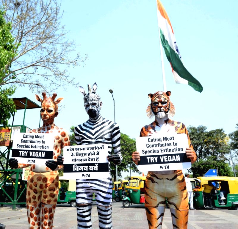 PETA demonstration