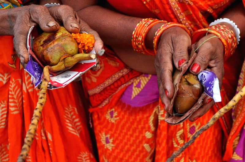 Makar Sankranti Photos | High Resolution Images of Makar Sankranti ...