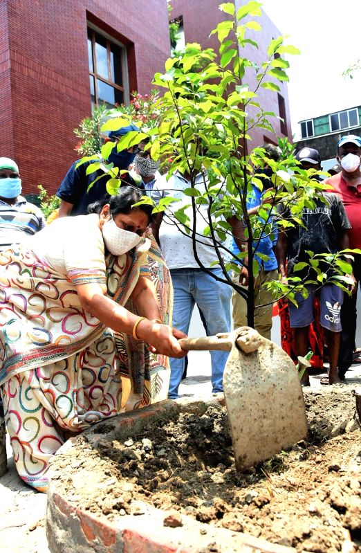 Tree plantation during World Environment Day observe in Kolkata