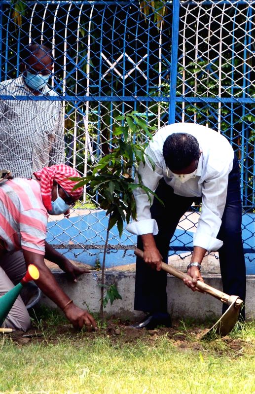 Tree plantation during World Environment Day observe in Kolkata